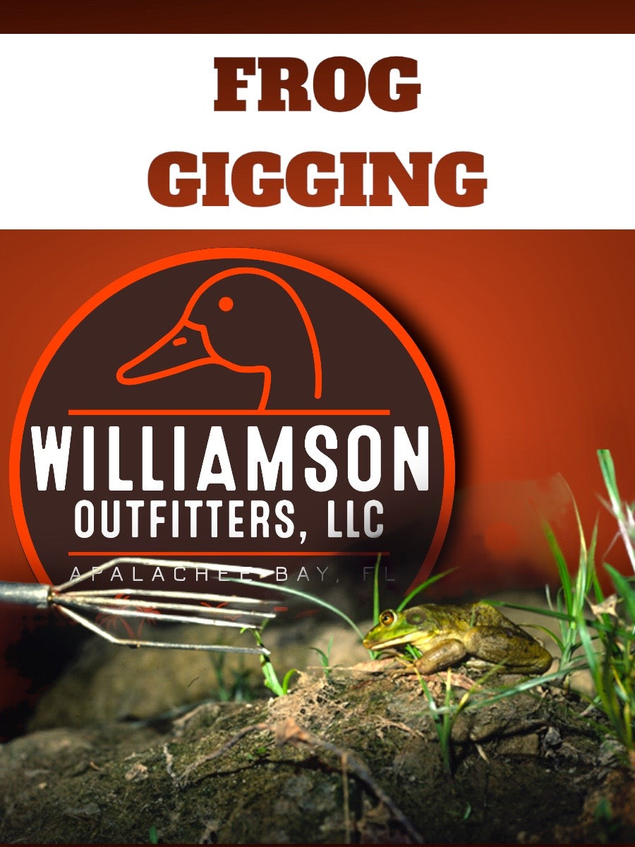 North Florida Frog Gigging: 4 Hr Trip $550, May thru Sept. [30% BOOKIN ...